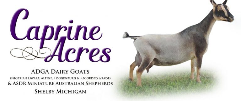 Home - Caprine Acres